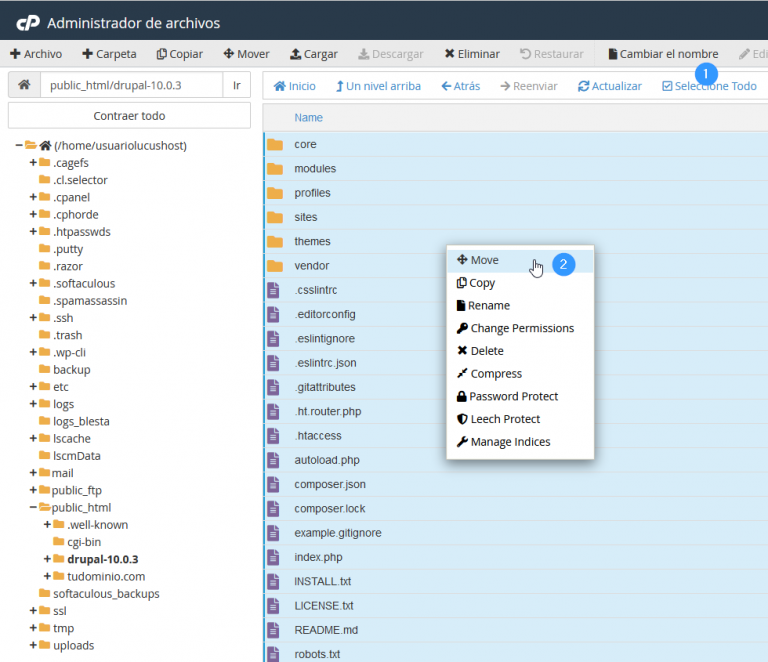 Cómo instalar Drupal fácilmente [Guía Completa]