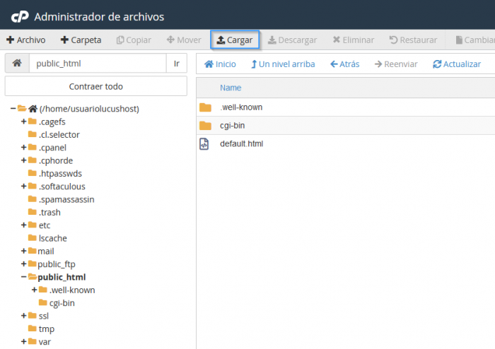 Archivo index.html: qué es y cómo crearlo | Blog de LucusHost