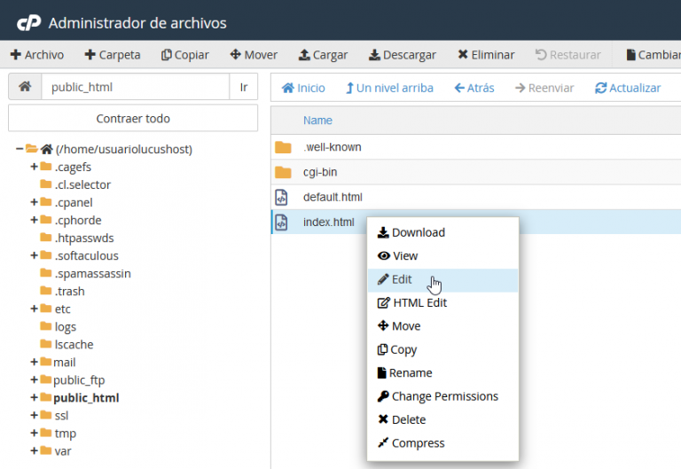 Archivo index.html: qué es y cómo crearlo | Blog de LucusHost