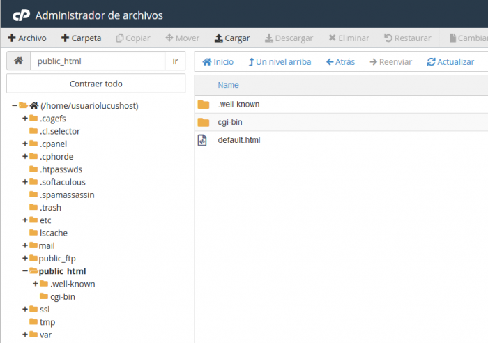 Archivo index.html: qué es y cómo crearlo | Blog de LucusHost
