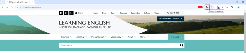 Cómo traducir una página web fácilmente