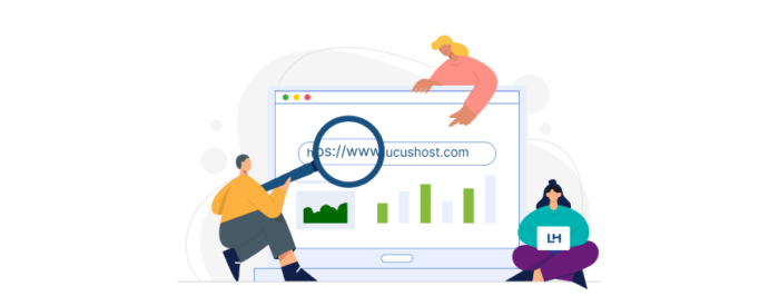 ¿Qué es una URL? Tipos, estructura y ejemplos | Blog de LucusHost